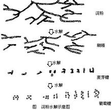 Niseshte - Pages [1] - Botërore njohuri enciklopedik